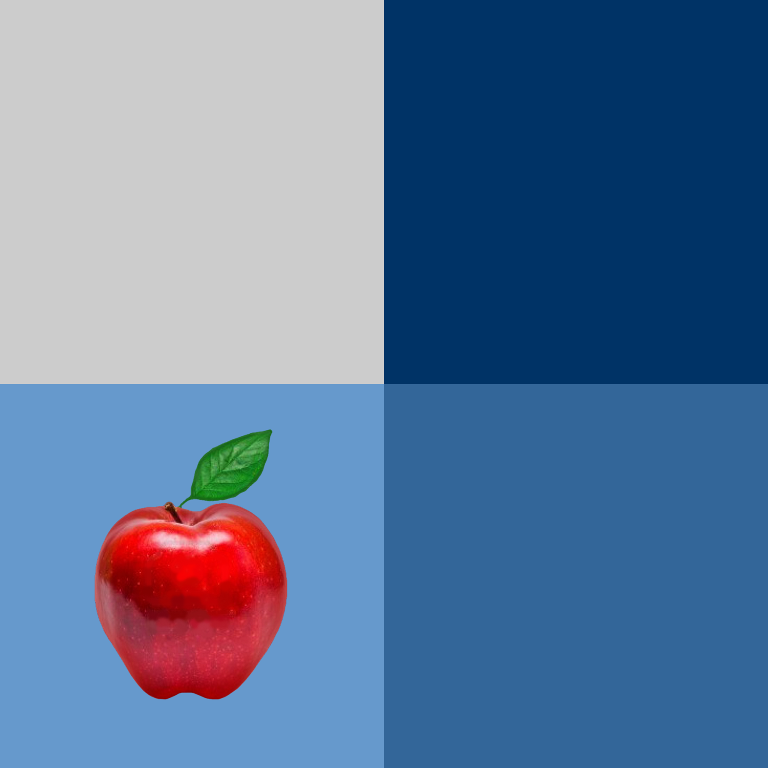 Zenith Academy – The Future of Our Children